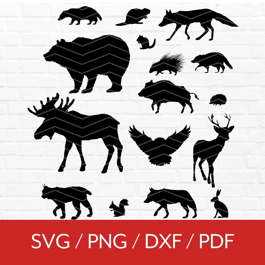Woodland Animals Silhouettes SVG, Forest Animal Png Bundle, Woodland ...