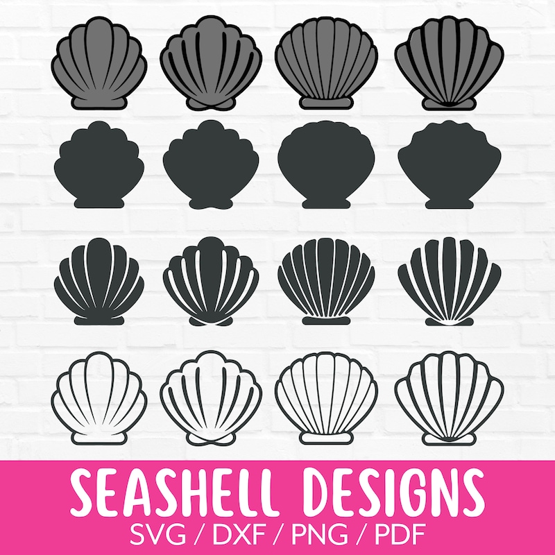Sea Shell Outline Drawing - Etsy