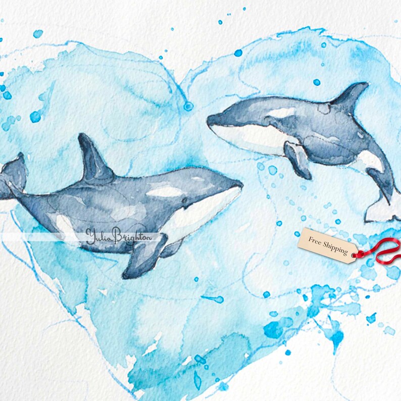 Two heart-shaped orcas whales swim in the blue ocean. Killer | Etsy