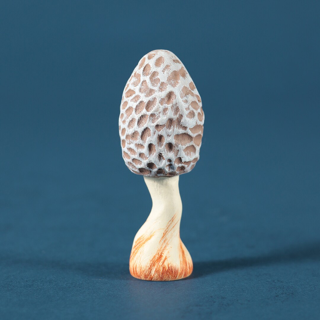 Painted Mushroom Wooden Toy, Carved Morchella Esculenta Mushroom ...