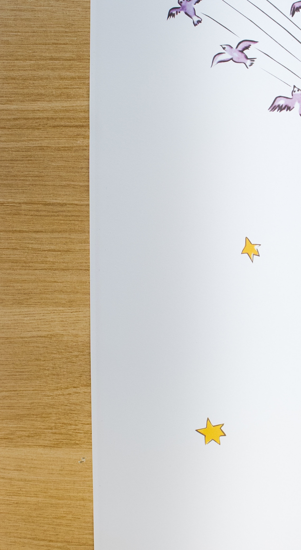 The Little Prince and the Wild Birds Lithograph by Antoine De Saint ...