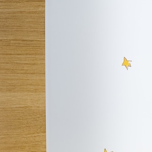 The Little Prince and the Wild Birds Lithograph by Antoine De Saint ...