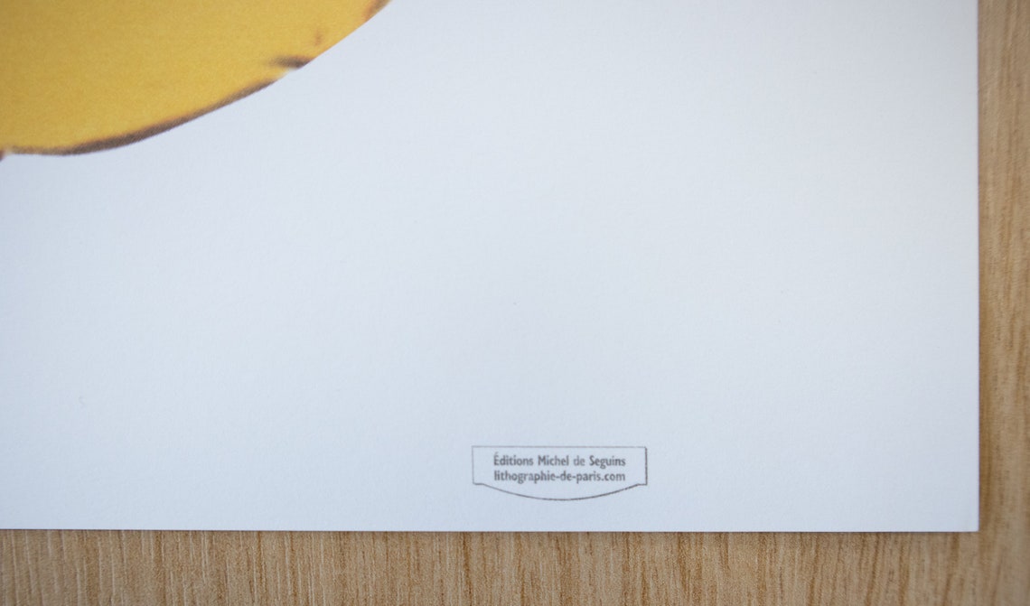 The Little Prince and the Wild Birds Lithograph by Antoine De Saint ...