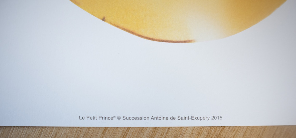 The Little Prince and the Wild Birds Lithograph by Antoine De Saint ...
