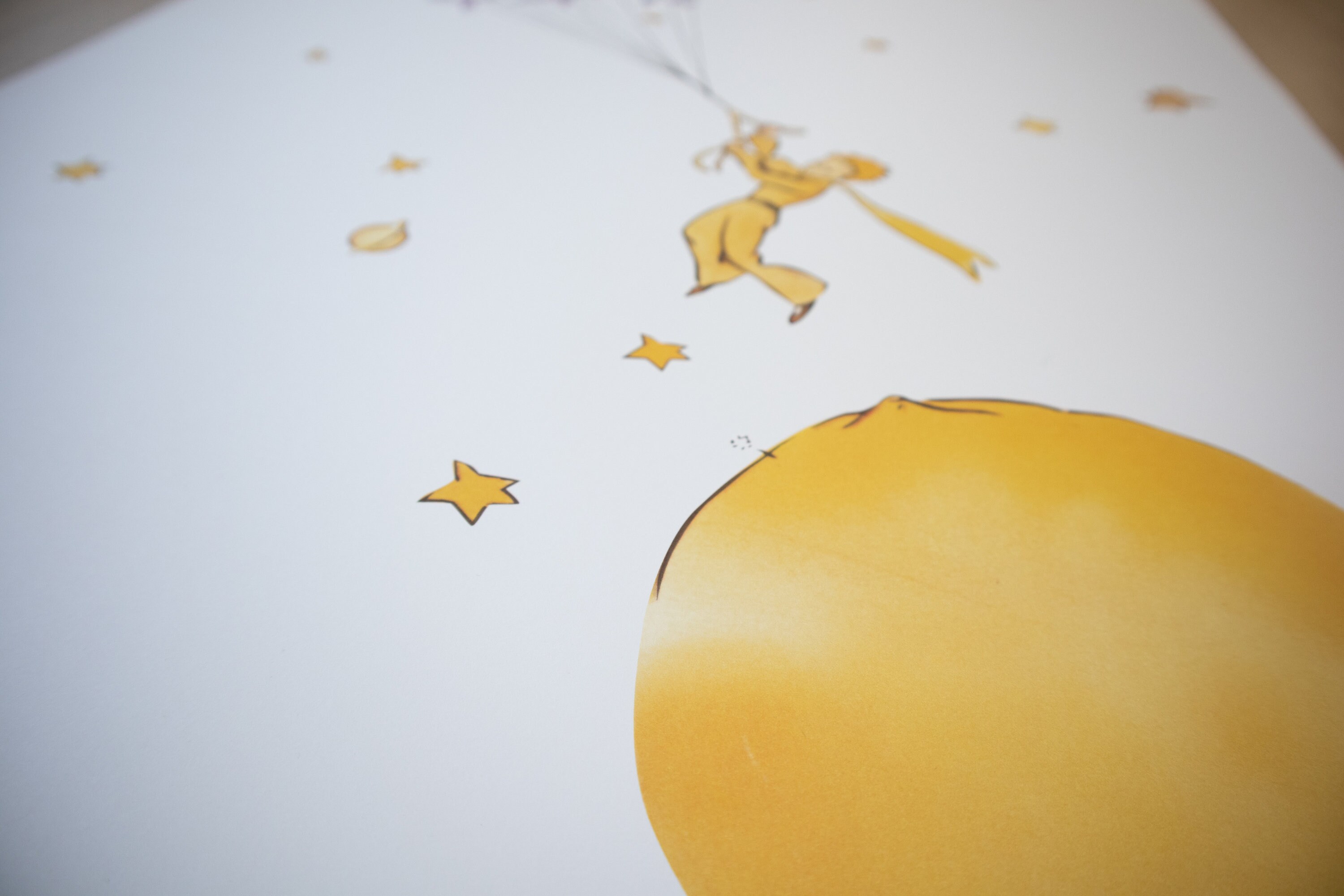 The Little Prince and the Wild Birds Lithograph by Antoine De Saint ...