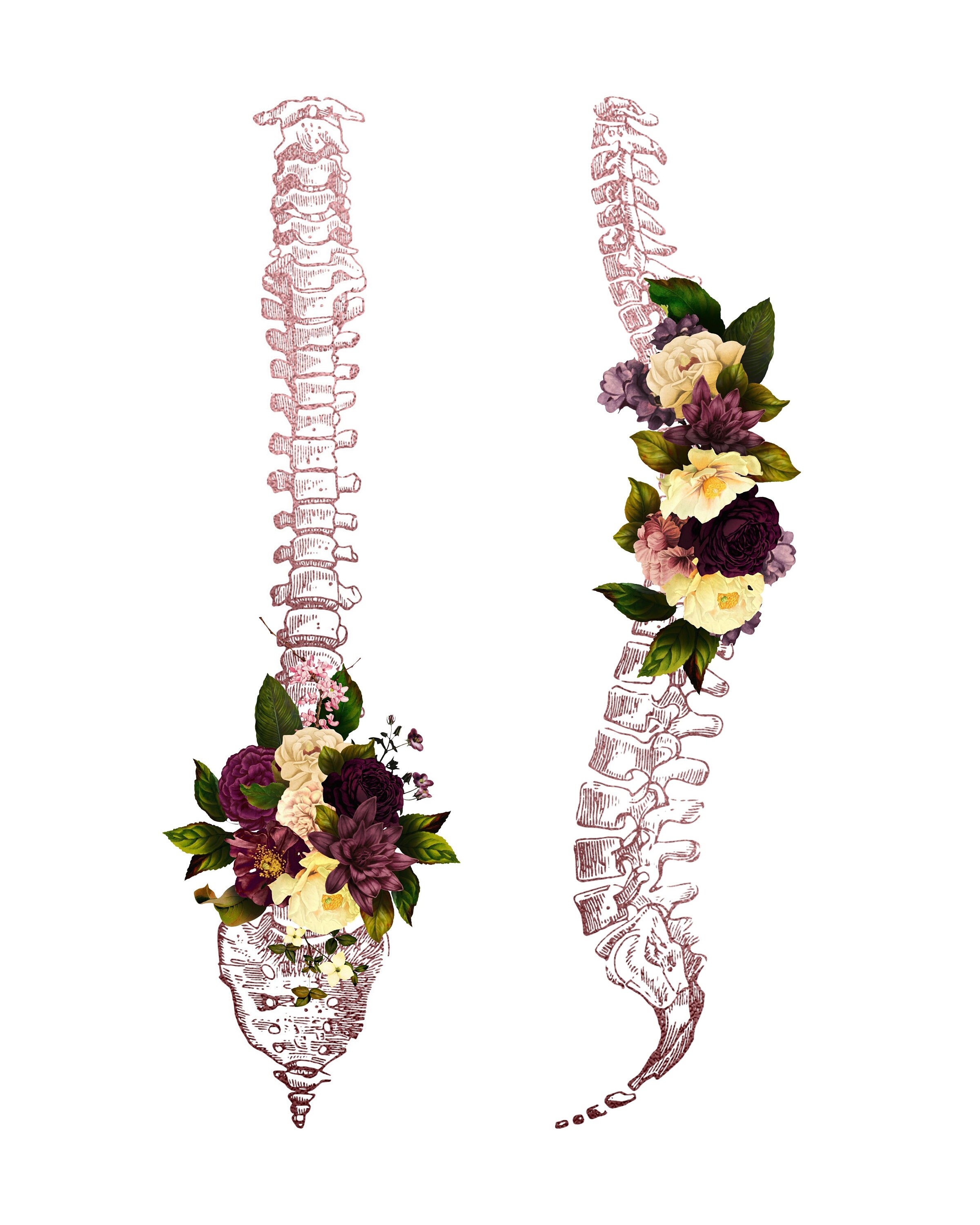 Pink Human Anatomy, Face Brain Vertebrae Floral Digital Art Download - Etsy