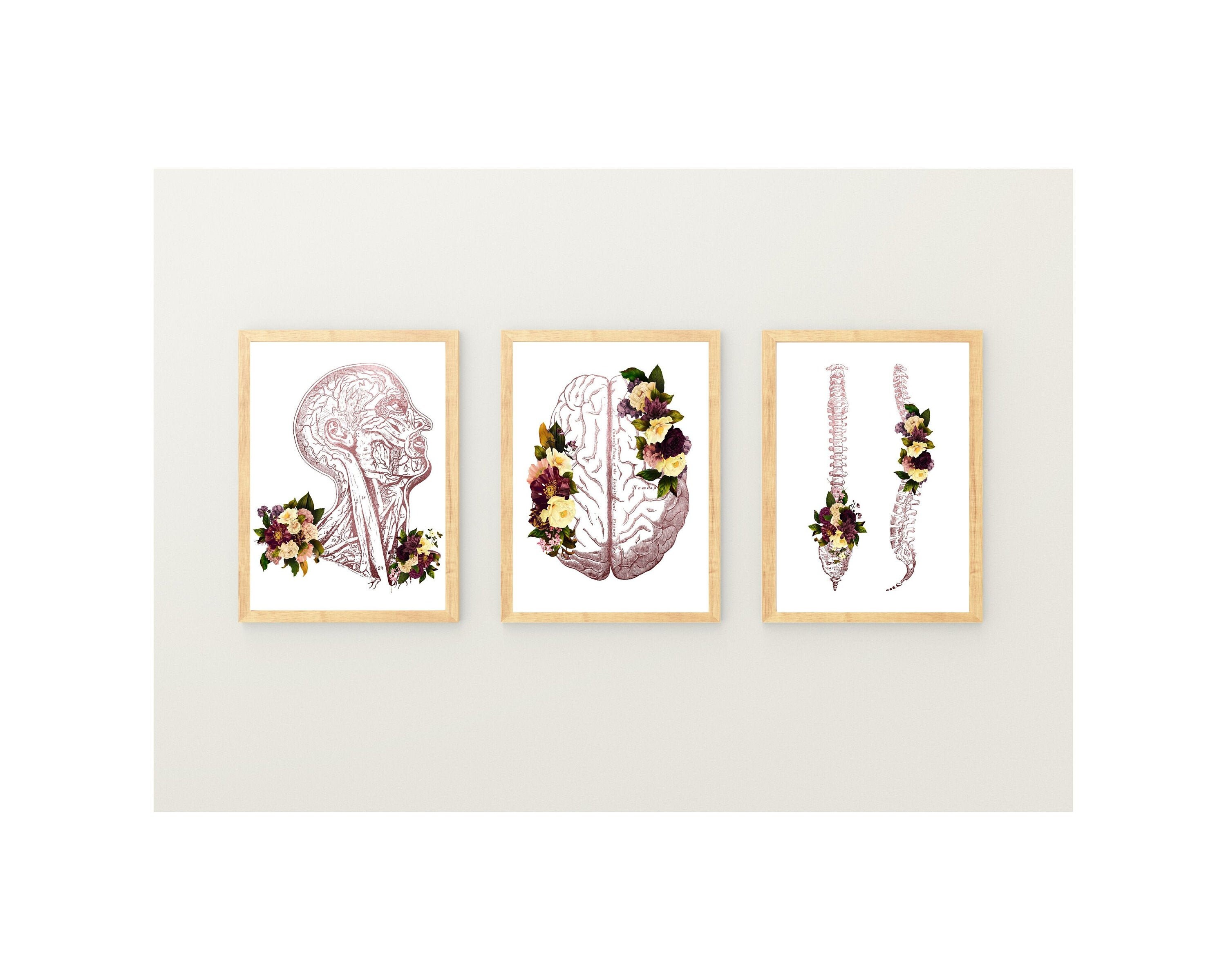 Pink Human Anatomy, Face Brain Vertebrae Floral Digital Art Download - Etsy