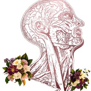 Pink Human Anatomy, Face Brain Vertebrae Floral Digital Art Download - Etsy