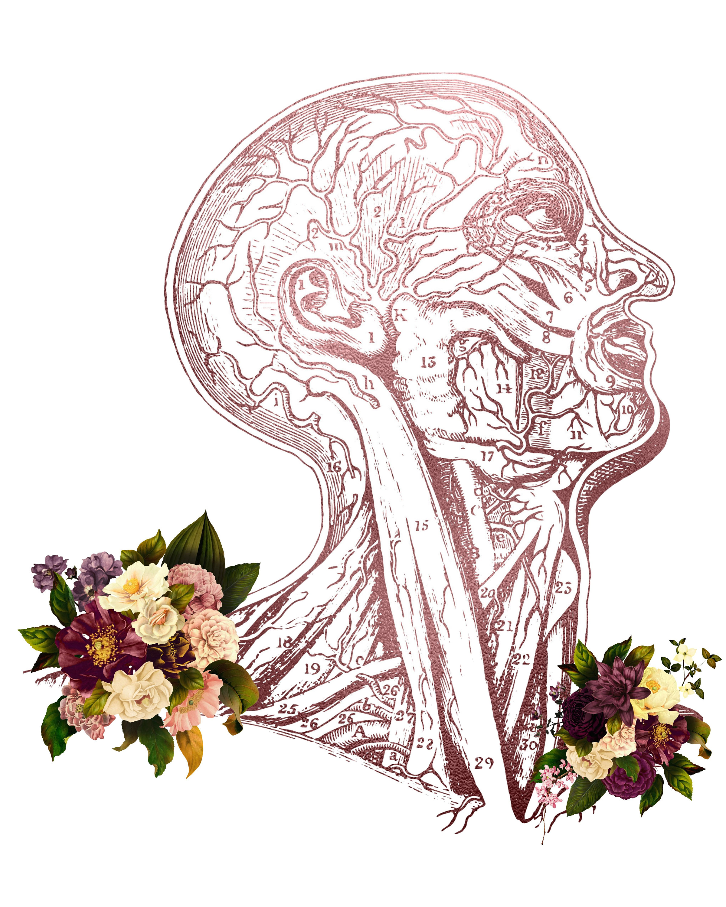 Pink Human Anatomy, Face Brain Vertebrae Floral Digital Art Download - Etsy