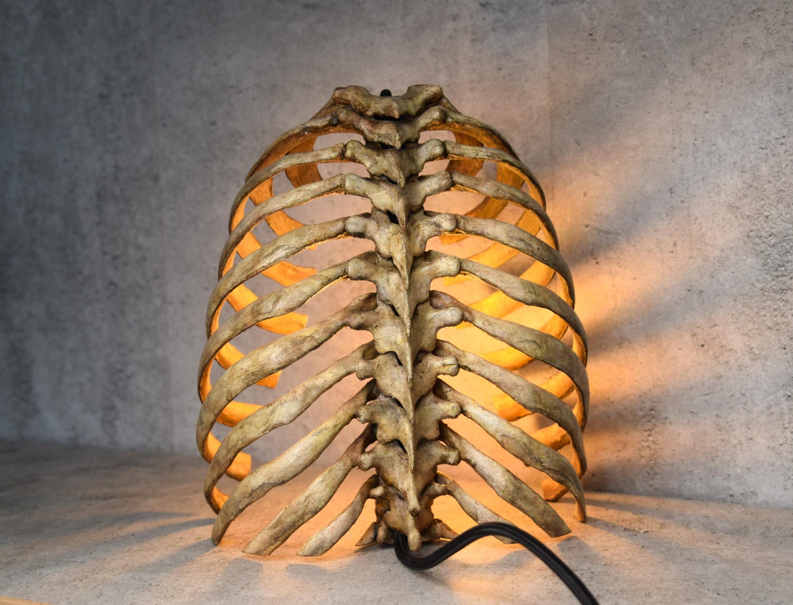 Anatomical Rib Cage Lamp, Gothic Skeleton Table Lamp, Realistic Spine ...