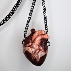 Realistic Human Heart Bag, Anatomical Human Heart Silicone Sculpture - Etsy