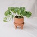 Pot With Legs, Fun Pot, Terracotta Pot - Etsy