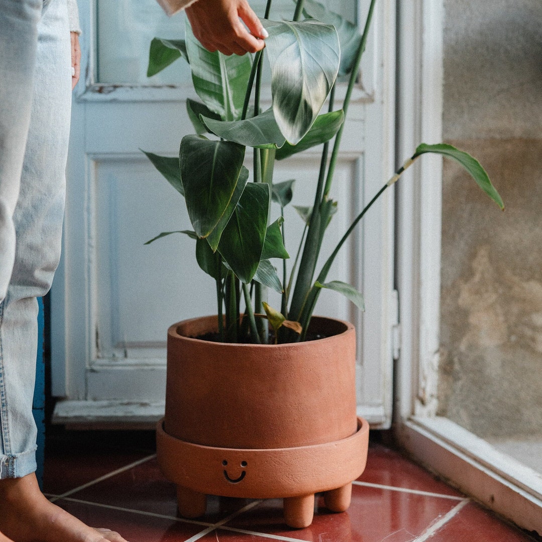 Giant Potis Pot, Insect Pot, Large Pot, XL Pot, Pot for Large Plants - Etsy