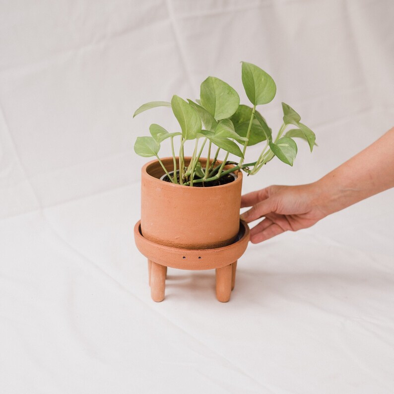 Pot With Legs, Fun Pot, Terracotta Pot - Etsy