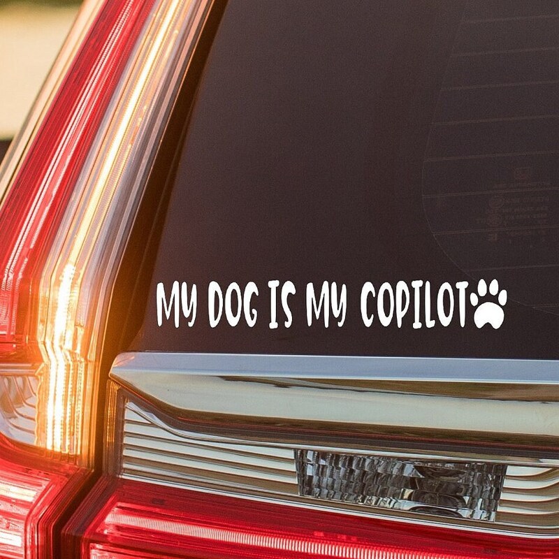 My Dog is My Copilot - Etsy