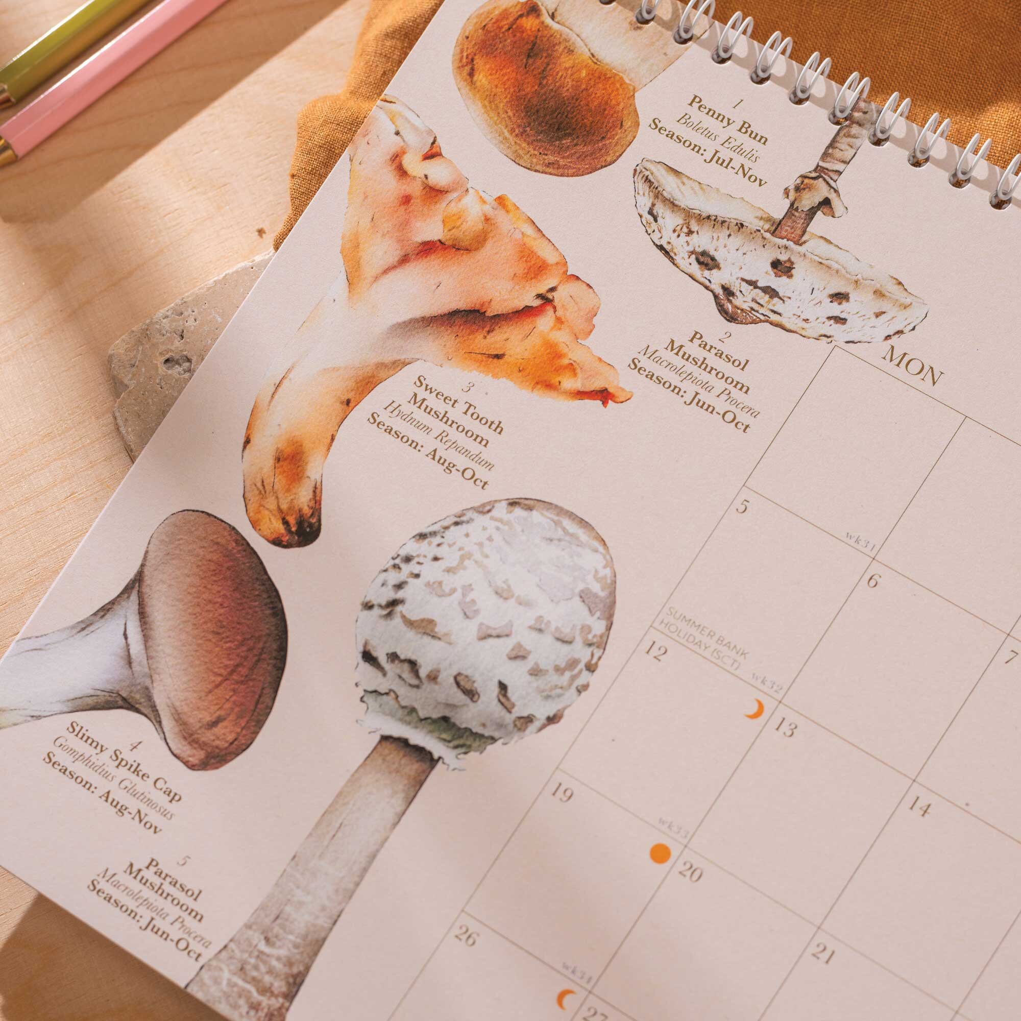 Calendrier Mural 2024 Champignons Calendrier 12 Mois Des Champignons ...