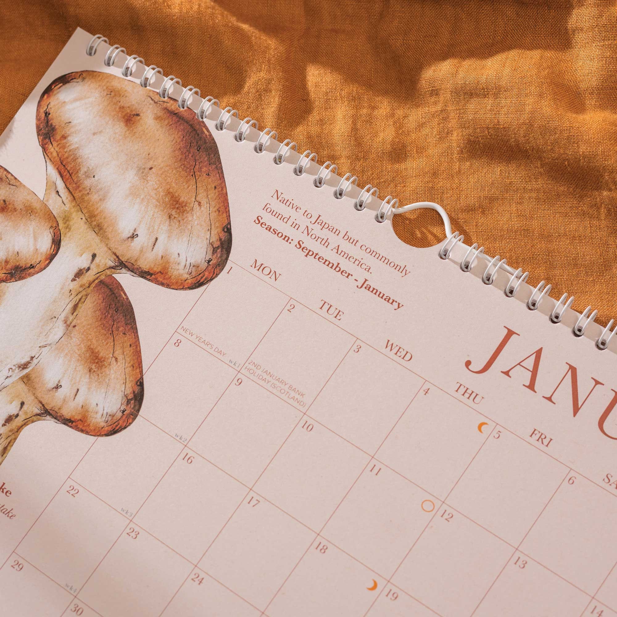 Calendrier Mural 2024 Champignons Calendrier 12 Mois Des Champignons ...