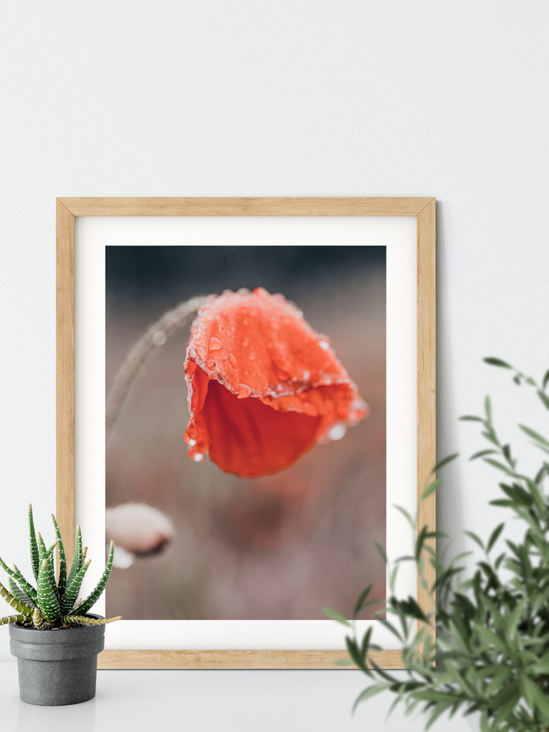 POPPY PHOTO, Instant Download, Photo Print, Fine Art Photography, Home ...