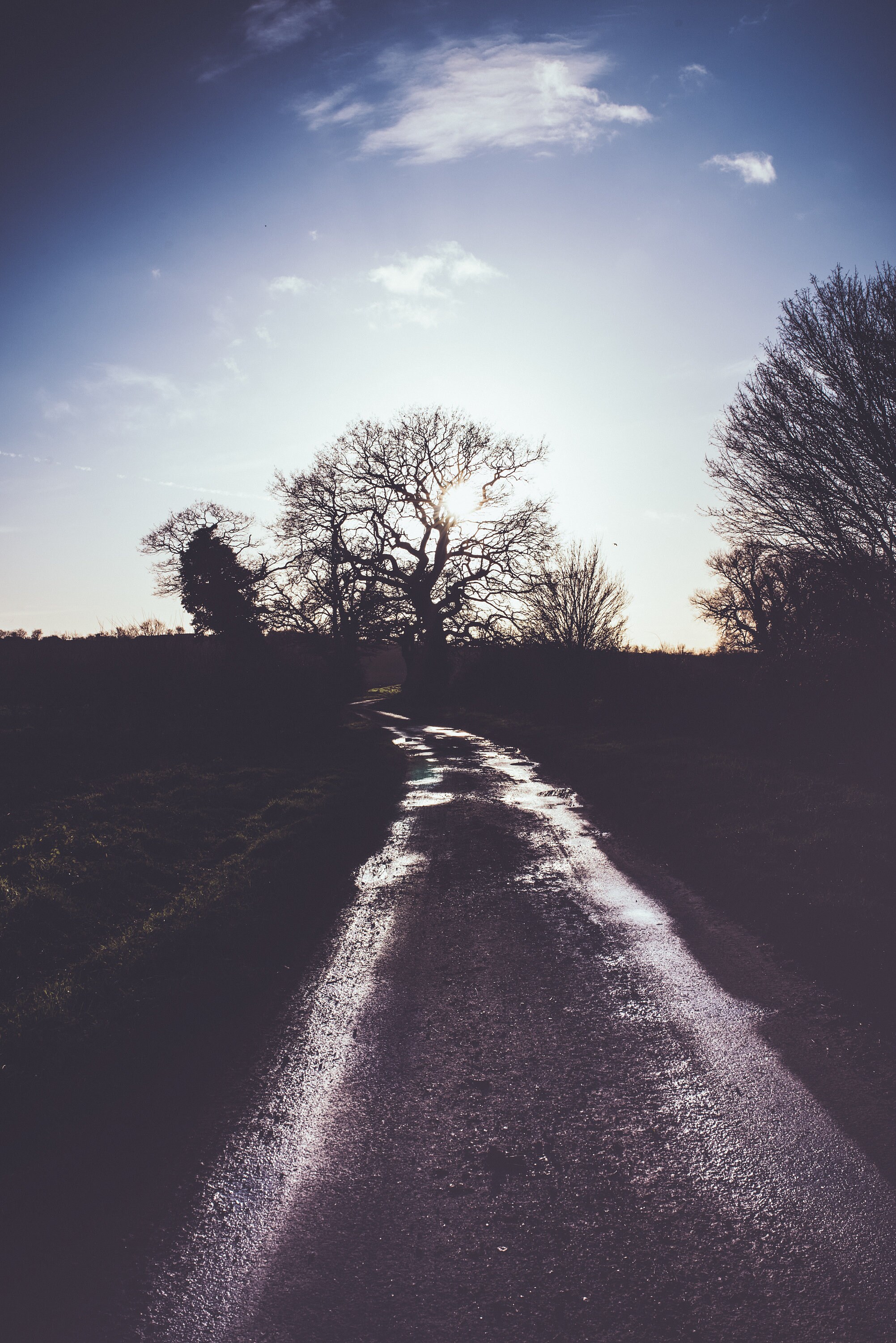 DIGITAL PRINT / PHOTO, Shadow Pathway, Instant Download, Photo Print ...