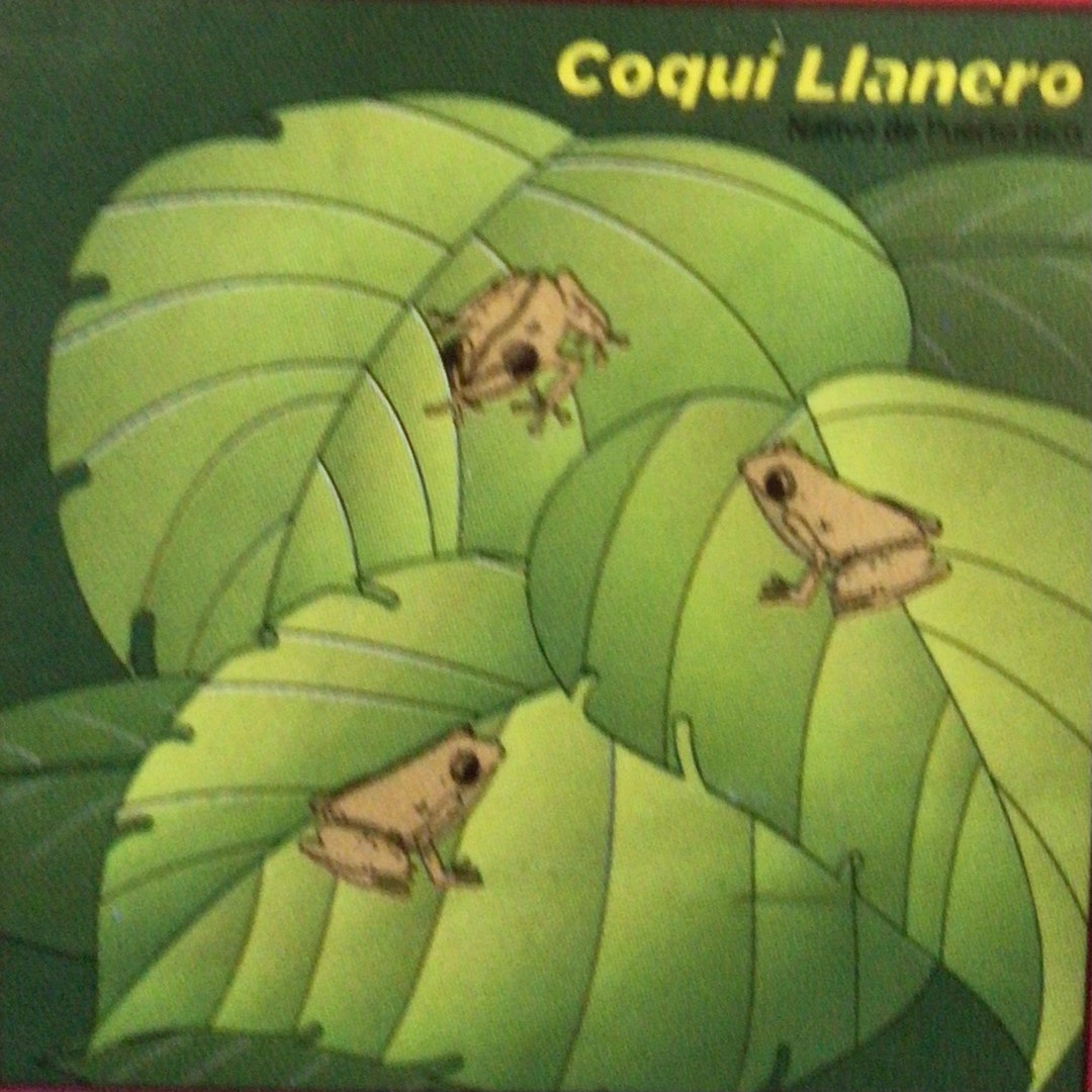 Painting Kit With Motifs and Landscapes of Puerto Rico. Ideal for ...