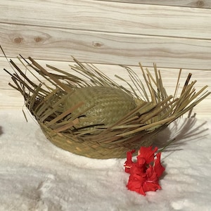 Pava. Puerto Rican Jíbaro Hat. Typical Hat of Puerto Rico. 8-inch ...