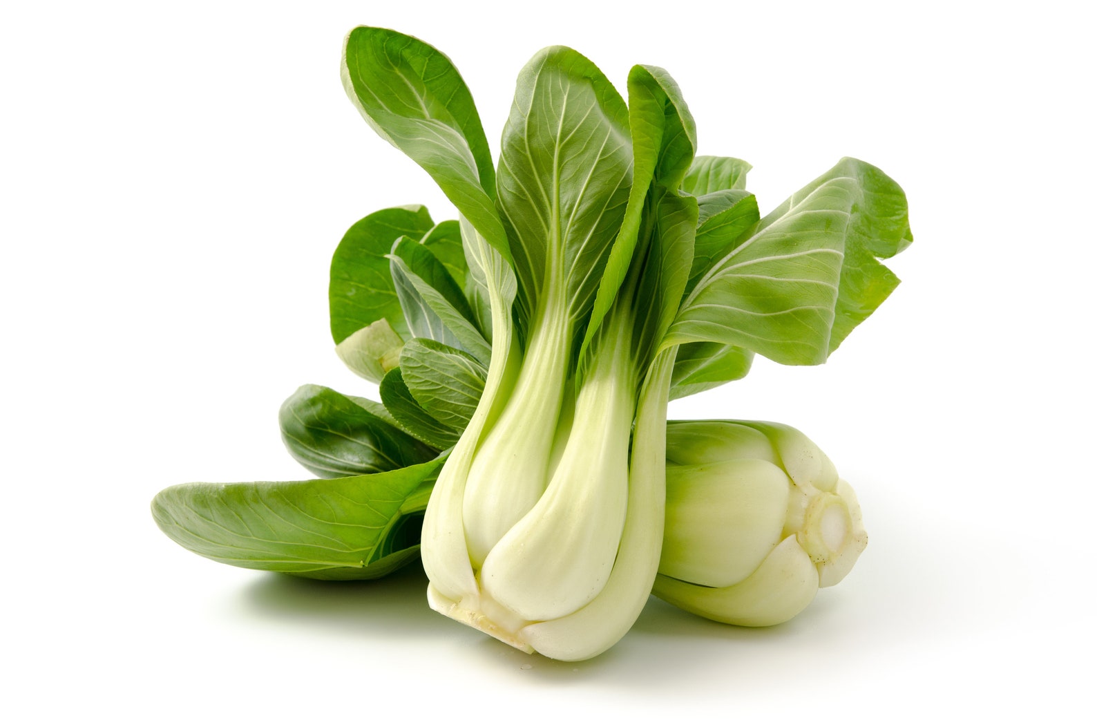 100+ Pak Choi White Stem Cabbage Seeds, Bok Choy, Vegetable Seeds, Non ...