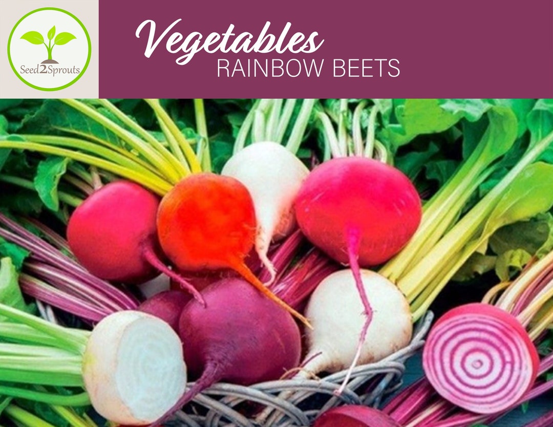 25+ 5 Color Rainbow Beets Seeds Mix, Vegetable Seeds - Etsy