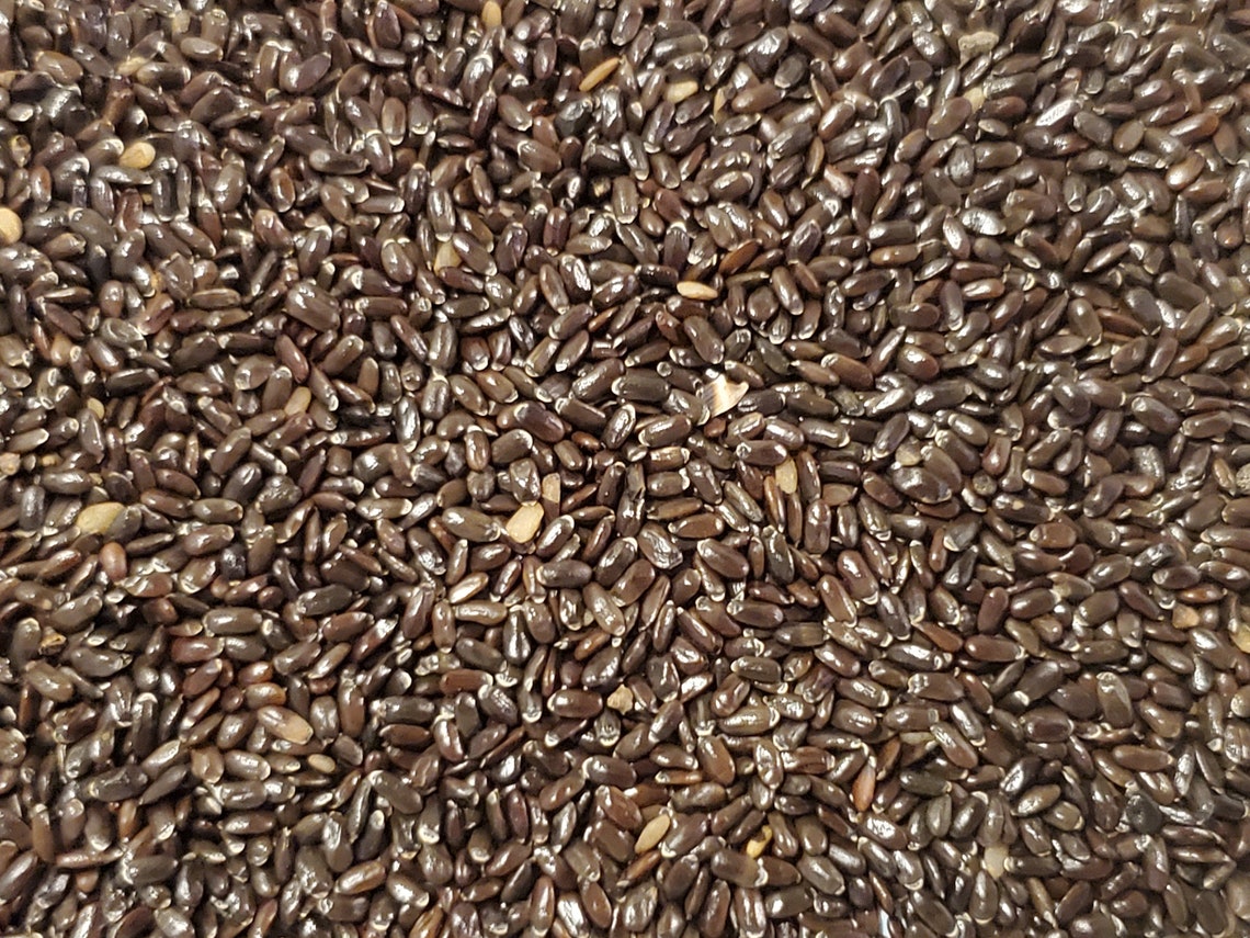 50 Lavender Seeds Common English Lavender Seeds - Etsy