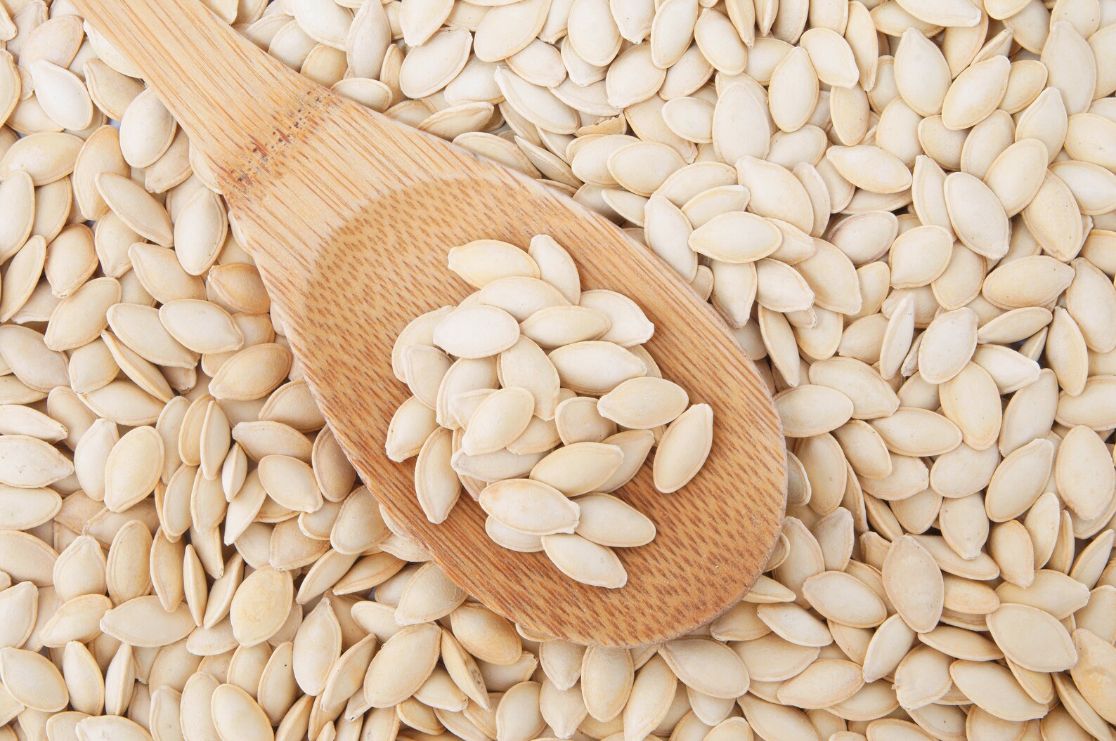 10 Connecticut Field Pumpkin Seeds Jack-O-Lantern Pumpkin | Etsy