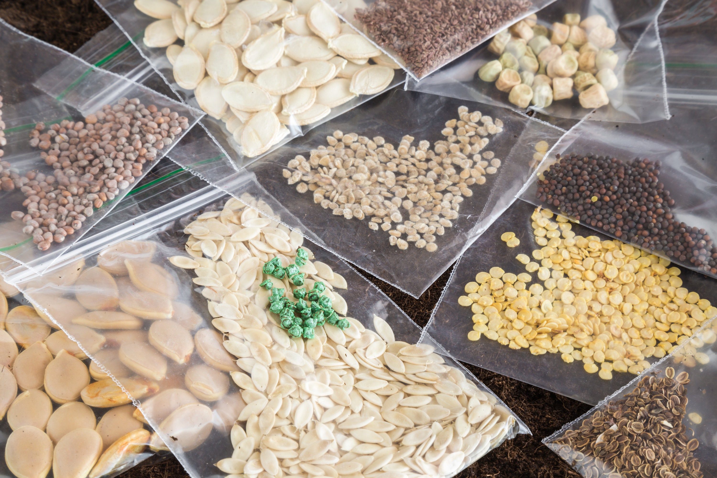 Vegetable Assortment Seed Starter Kit / Refill Vegetable Kit - Etsy