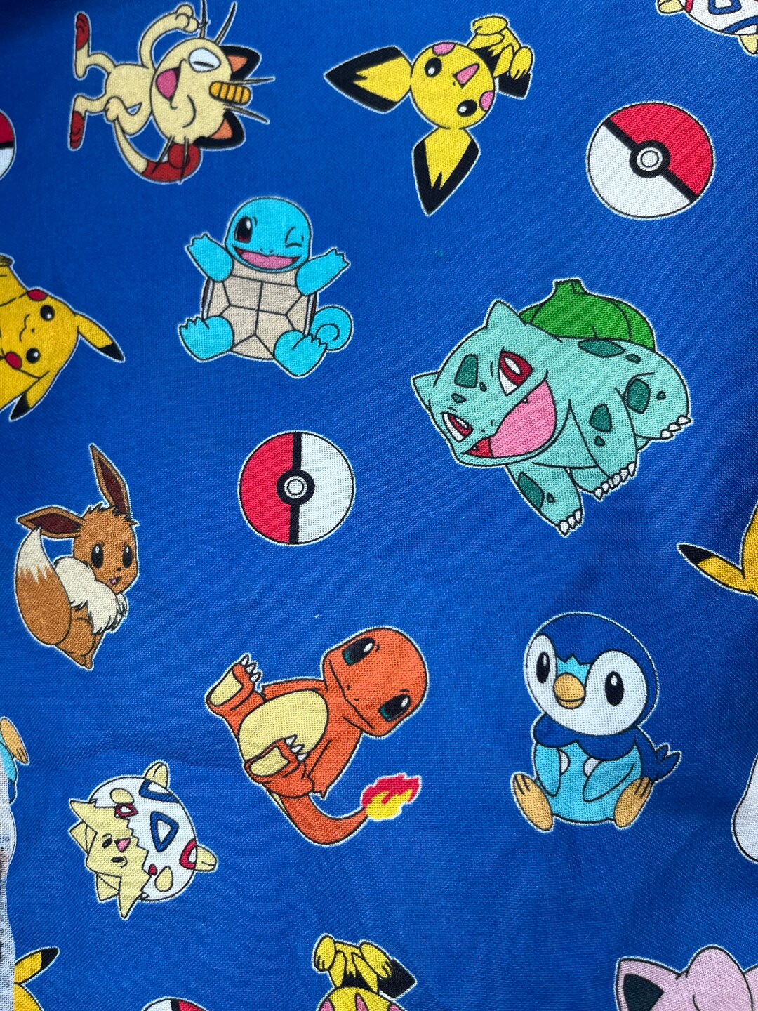 Pokémon Fannypack - Etsy