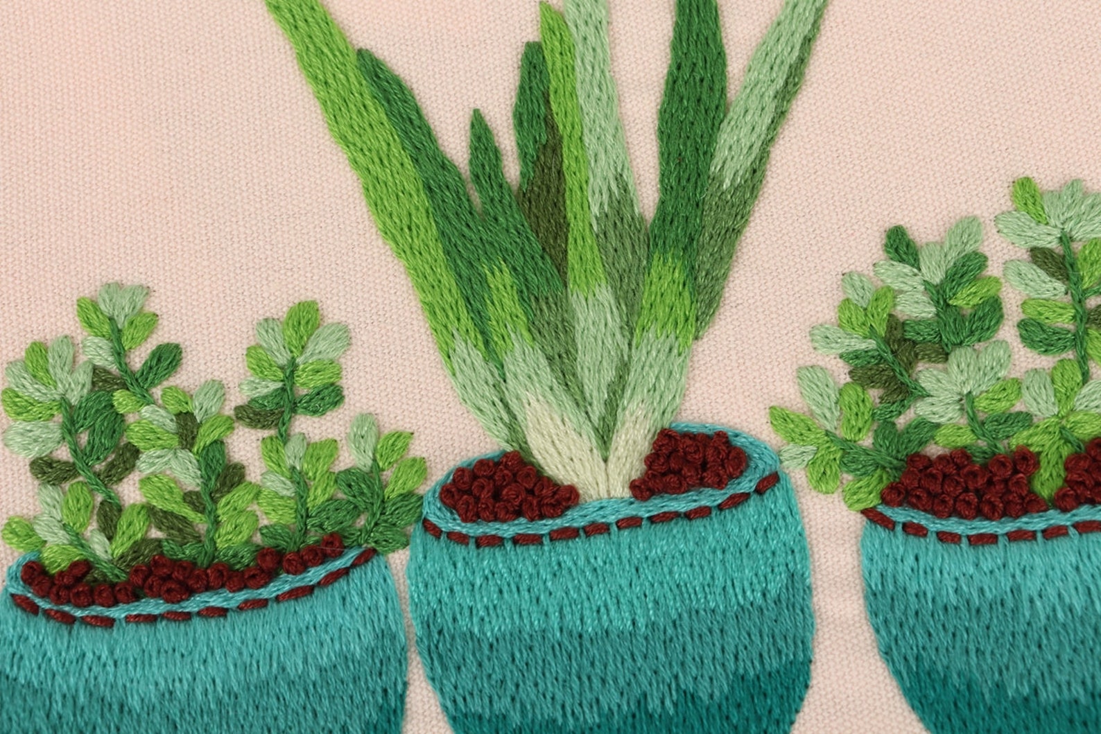 Embroidery Starter Kit W/ Succulent Pattern and Instructions - Cross ...