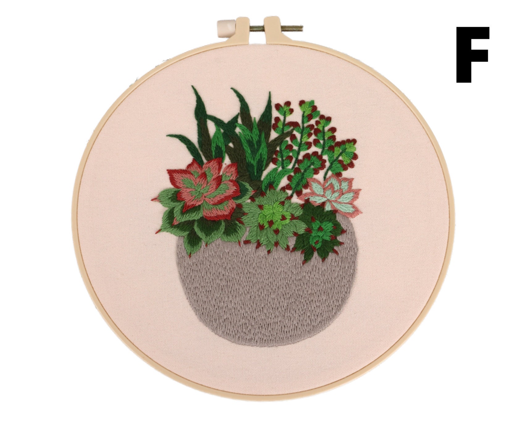New Design Beginner Embroidery Full Kit With Hoop Wall Decor - Etsy
