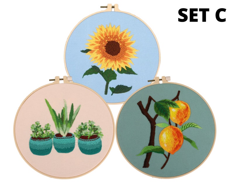 Beginner Embroidery Kits for Adults Flowers and Succulents - Etsy
