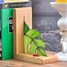 Monstera Stained Glass Bookend - Unique Library Decor Bookends ...