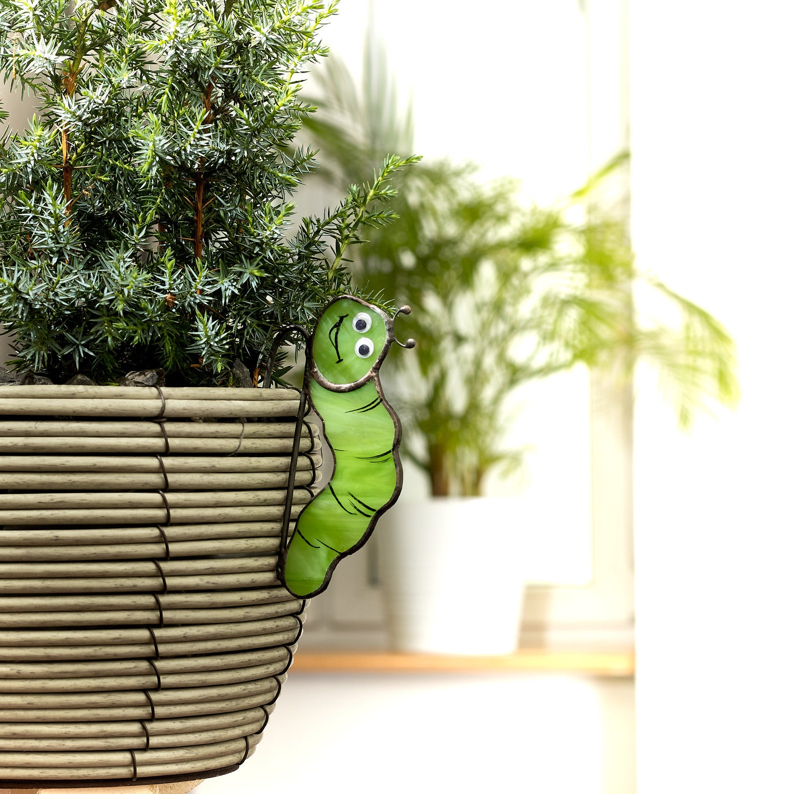 Funny Worm Plant Pot Huggerstained Glass Decor - Home Accent for Plant ...