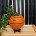 Nike 7” Basketball Plant Pot/ Planter Sneakerhead - Etsy UK