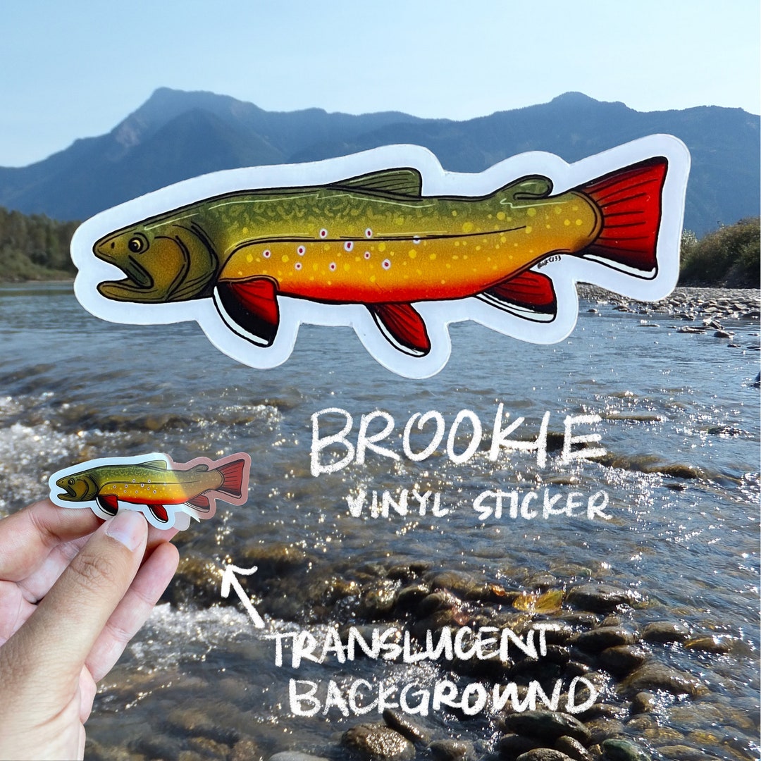 Brookie Clear Vinyl Sticker - Etsy