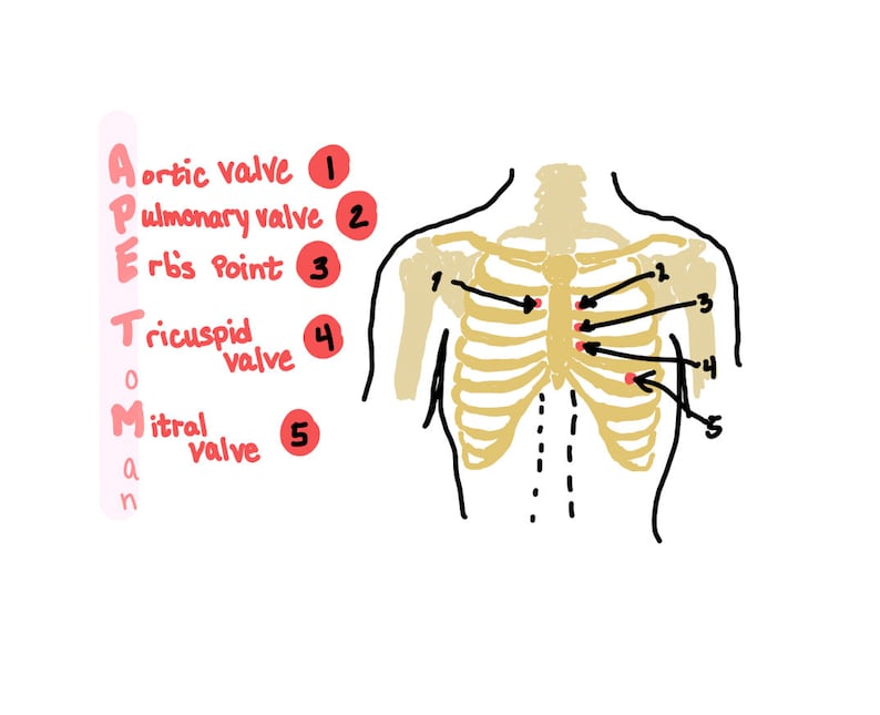 NURSING - APE to Man Heart Sounds - Etsy