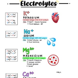 NURSING STUDENT Electrolyte Imbalances K, Na, Mg, Ca - Etsy