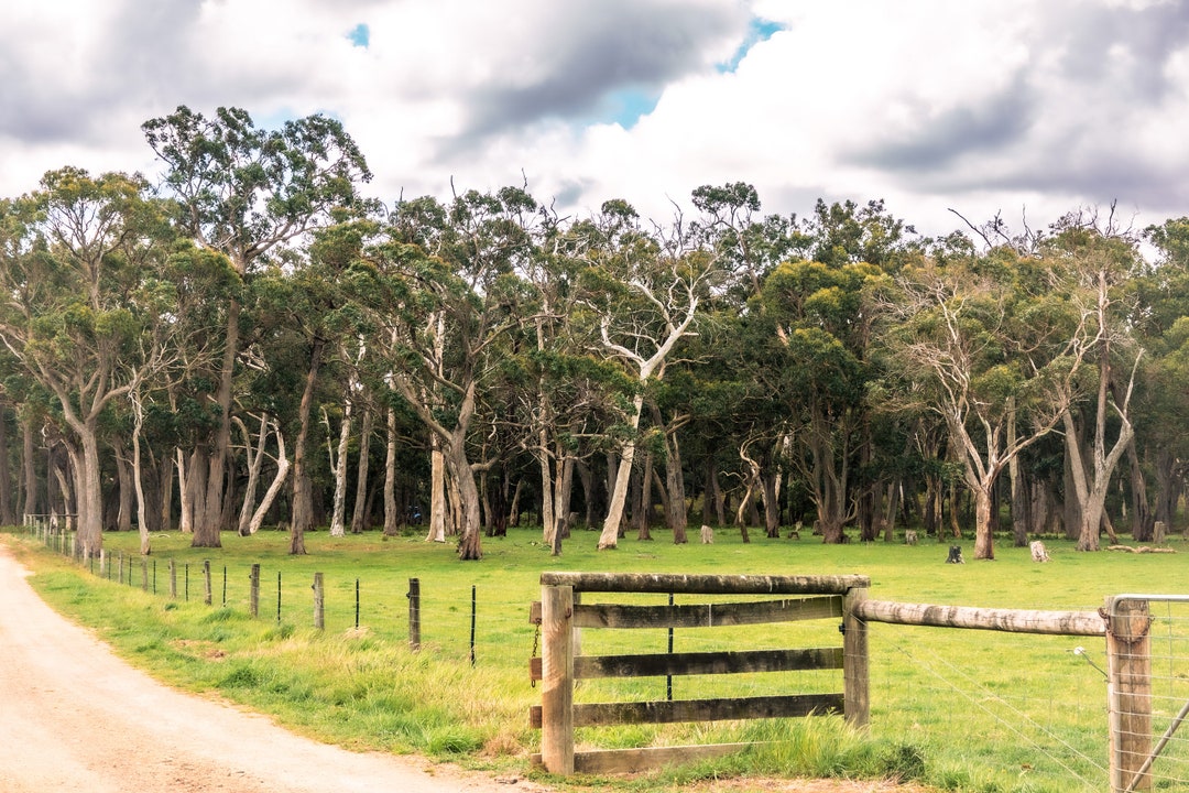 Australian Bushland & Farming Field Beautiful Landscape Photography of ...