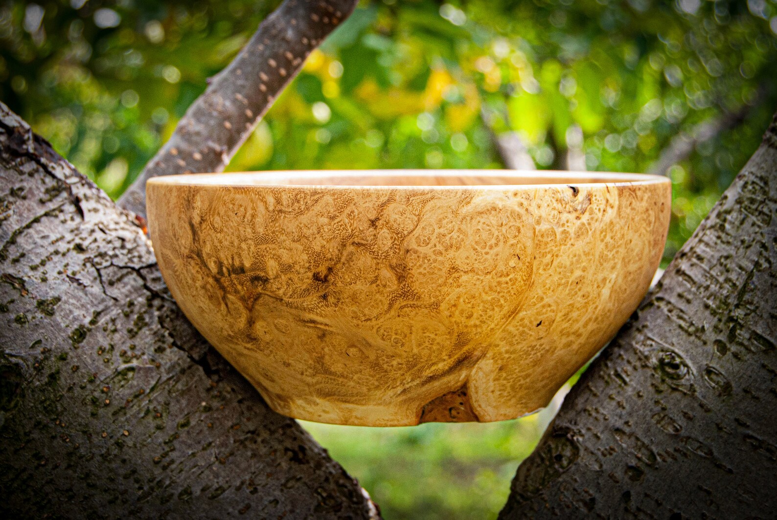 Salad Serving Bowl Acacia Wood, Handmade Solid Wood Fruit Bowl ...