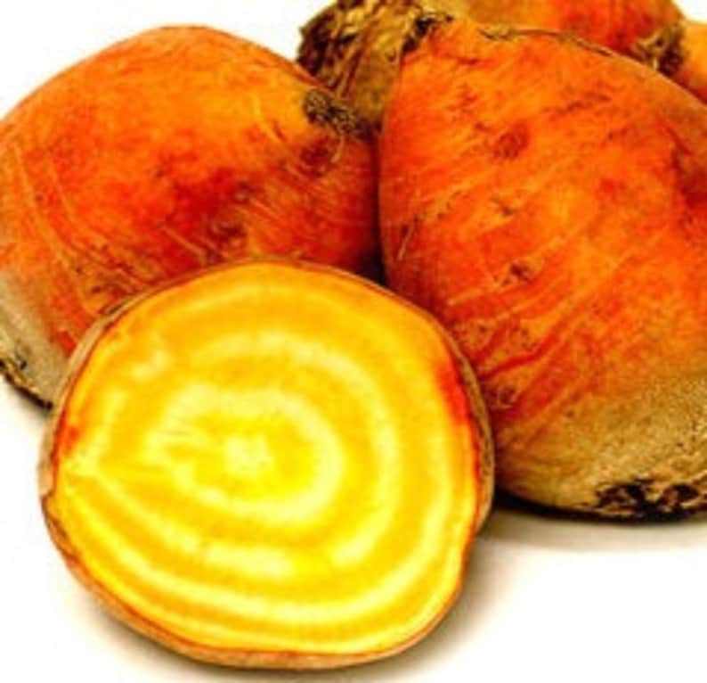Beta Vulgaris Touchstone Gold Beet Organic Non GMO 10 Seeds Heirloom ...