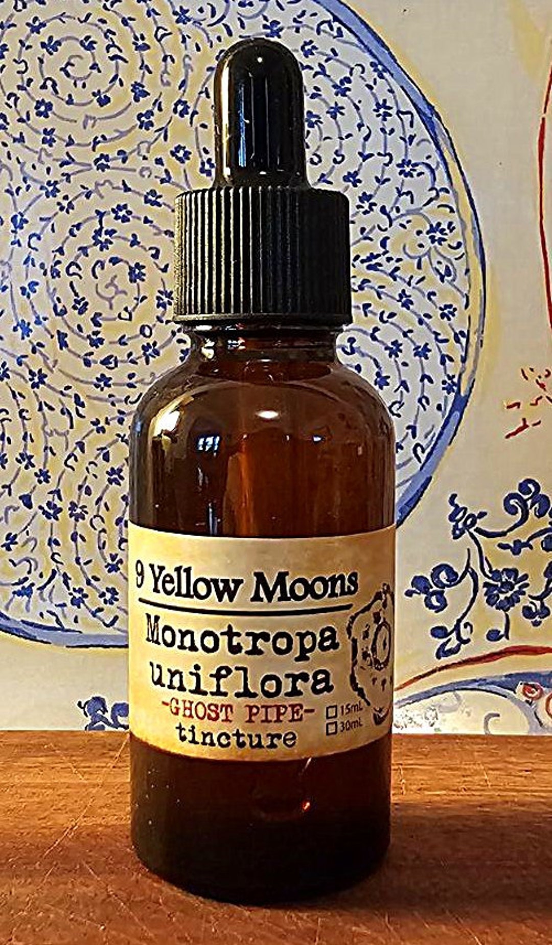 9yellowmoons Monotropa Uniflora Ghost Indian Pipe Corpse Plant Rare ...