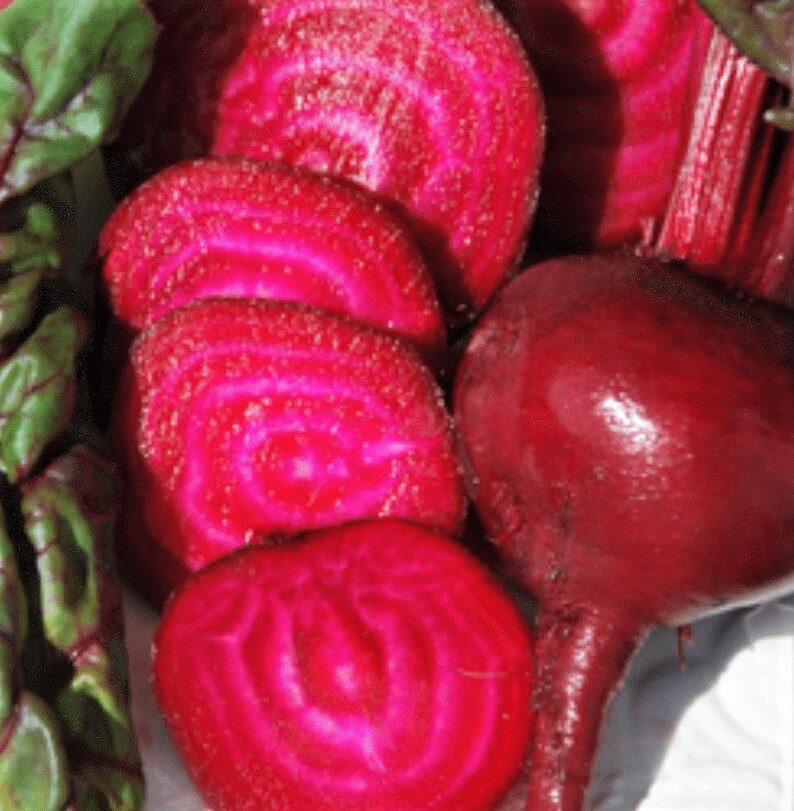 Beta Vulgaris Bull's Blood Beet Red Leaves Microgreens Rare Organic 15 ...