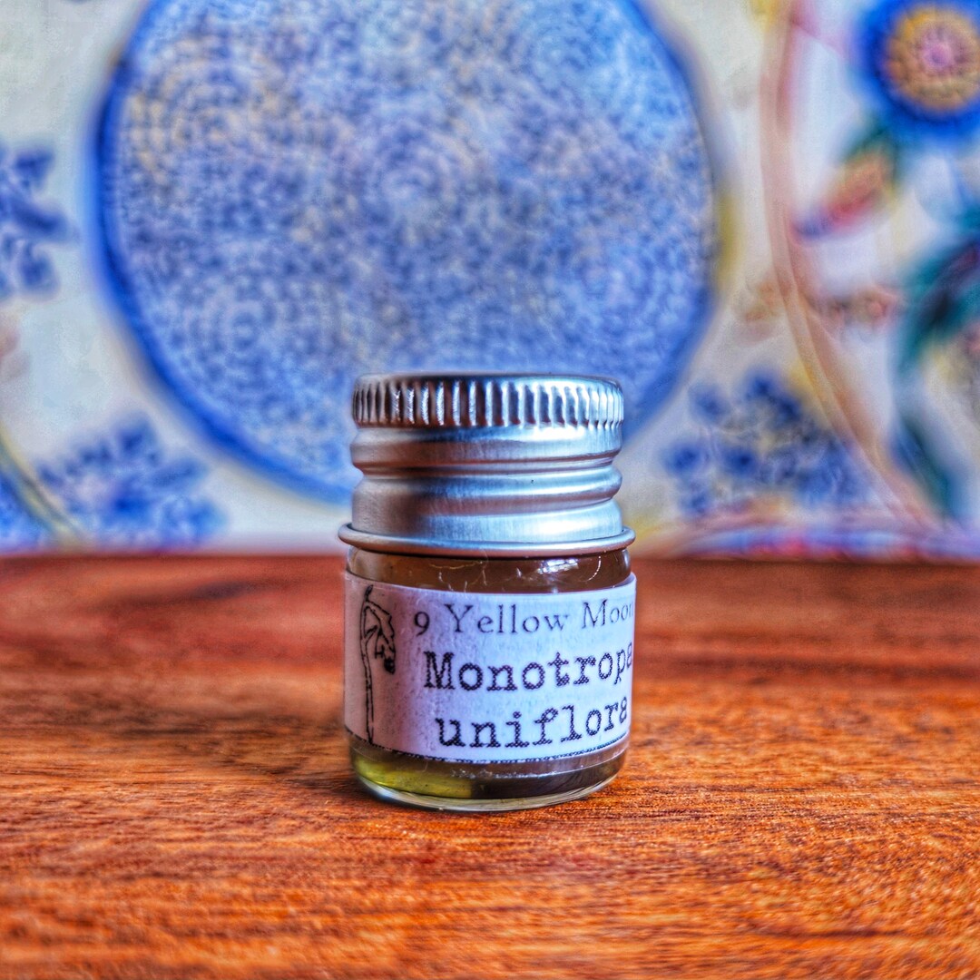 9yellowmoons Monotropa Uniflora Ghost Indian Pipe Corpse Plant Rare ...