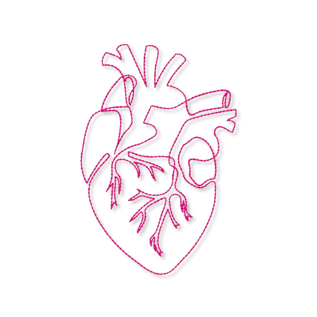 ANATOMICAL HEART Machine Embroidery Design 7'6'5'4'2.5' Medical Heart ...