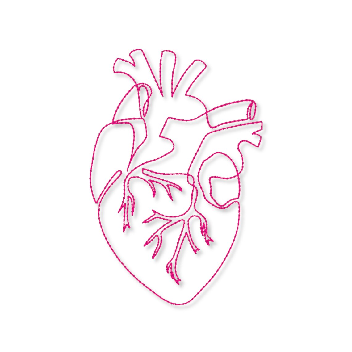ANATOMICAL HEART Machine Embroidery Design 7'6'5'4'2.5' Medical Heart ...