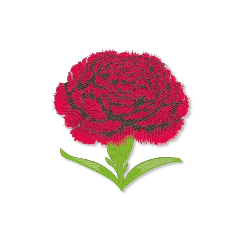 Carnation T Shirts - Etsy
