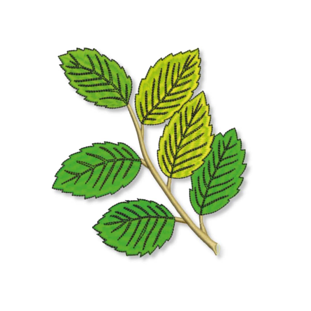 Machine Embroidery Leaf Designs, Machine Embroidery Summer Designs ...